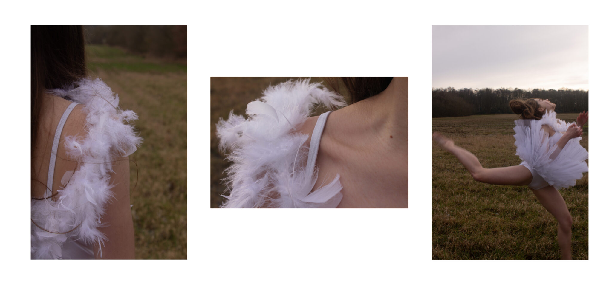 Y12 Photography Students in SFCA Exhibition : New College Doncaster